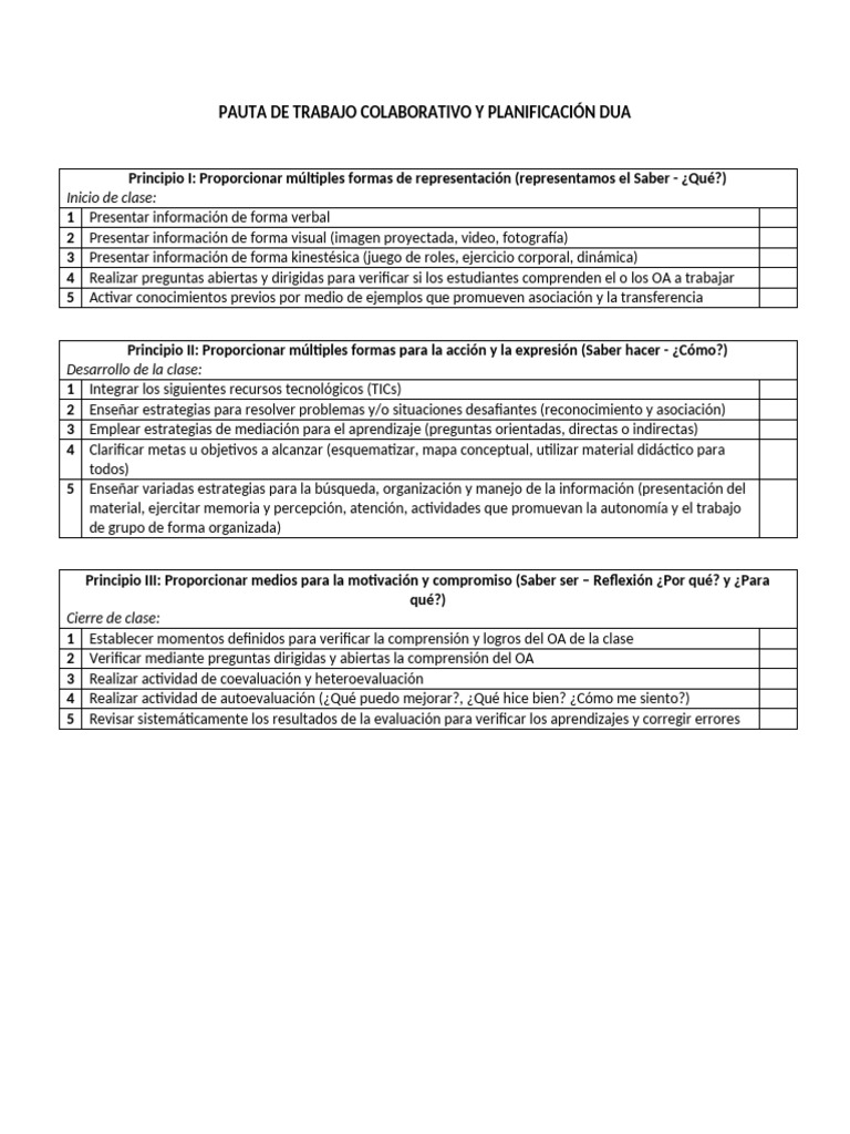 Pauta de Trabajo Colaborativo y Planificación Dua | PDF