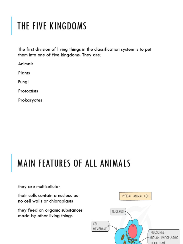 Overview of the Five Kingdoms of Life | PDF