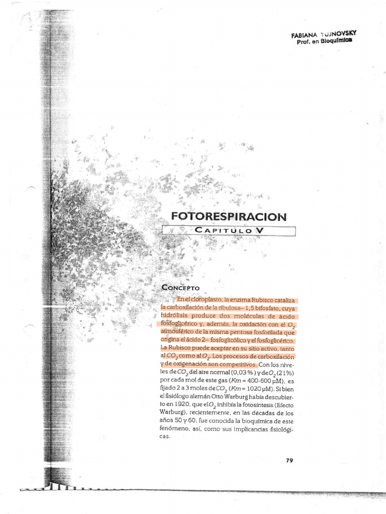 FOTO y ESCOTORESPIRACION - CapV y VI - Montaldi 1995 | PDF