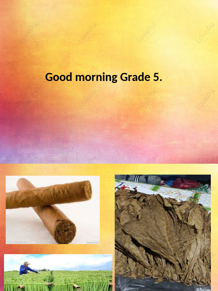 Good Morning Grade 5 | PDF