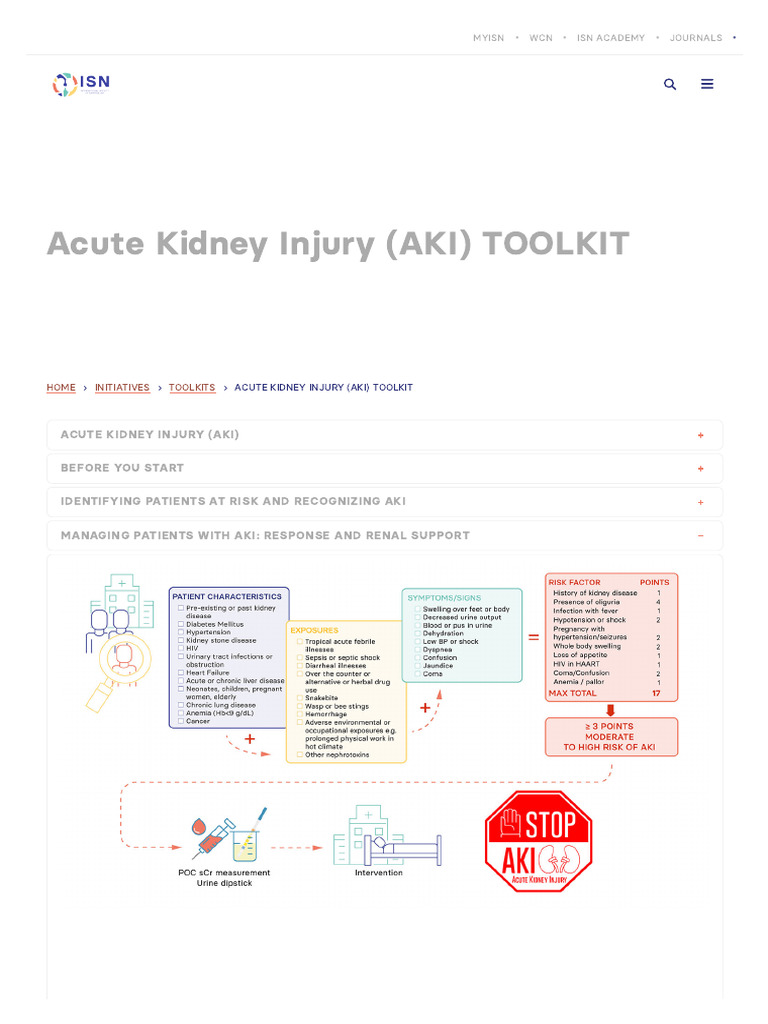 Acute Kidney Injury (AKI) TOOLKIT - International Society of Nephrology ...