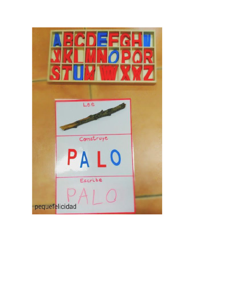 Actividades Lecto | PDF