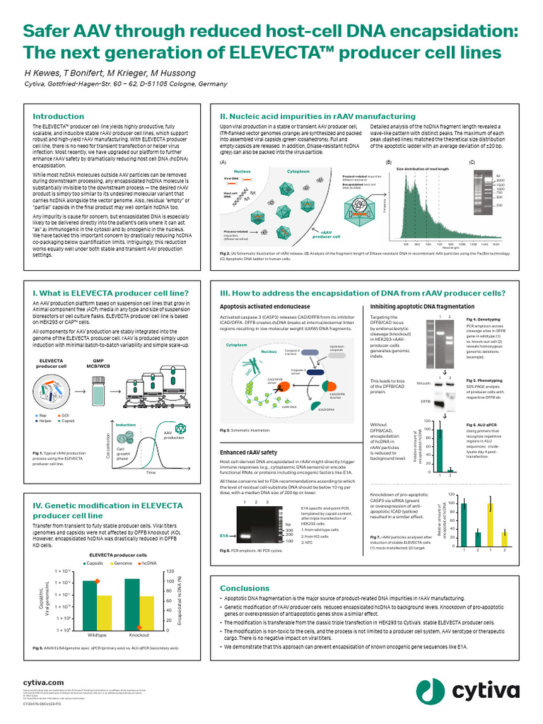 AAV Through Reduced Host Cell DNA Encapsidation Poster CY39476 09oct23 ...
