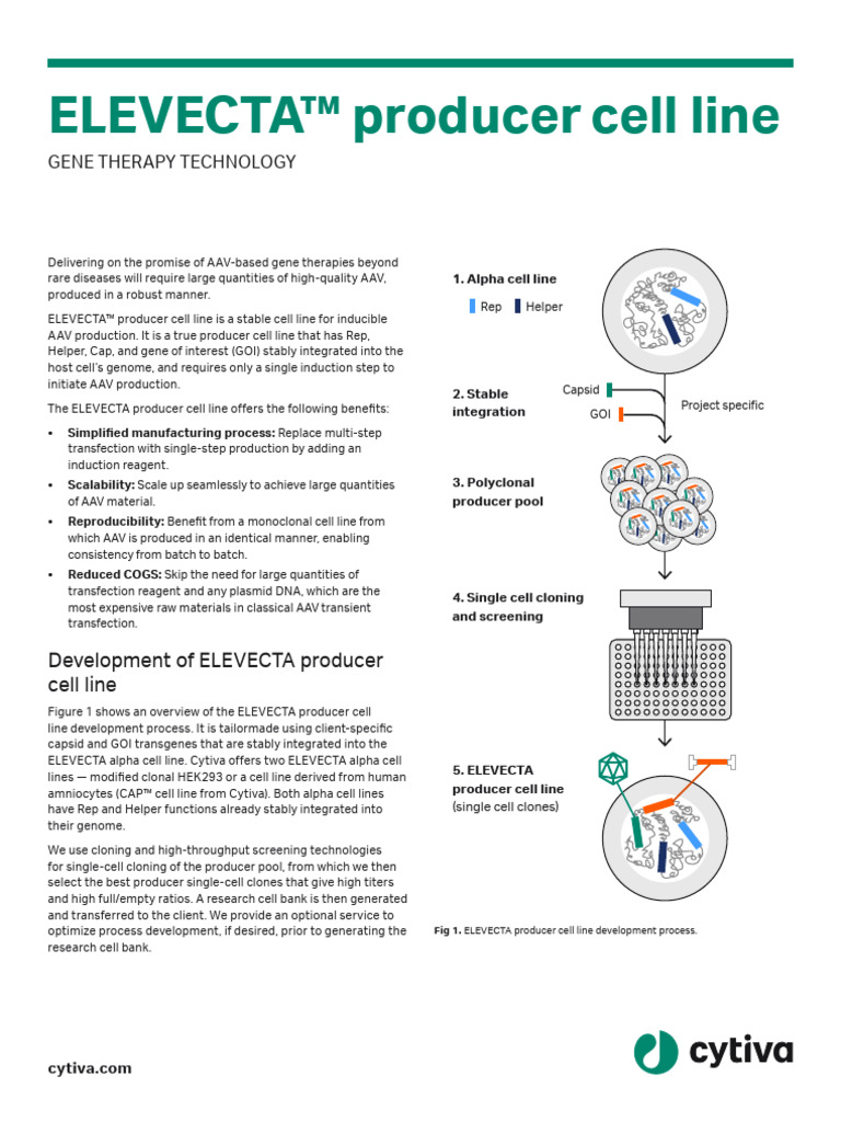 ELEVECTA Producer Cell Line Data File CY36644 08Jan24 DF | PDF ...