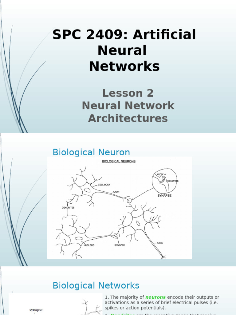 Lesson 2 Neural Network Architectures | PDF | Neuron | Dendrite