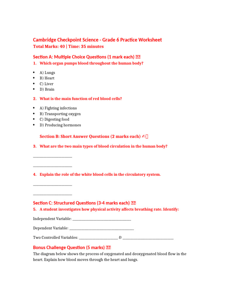 Grade 6 Circulatory System Worksheet | PDF