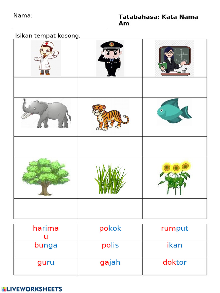 Kata Nama Am | PDF