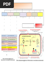 Sanford ATB Spectrum Chart 2024 | PDF