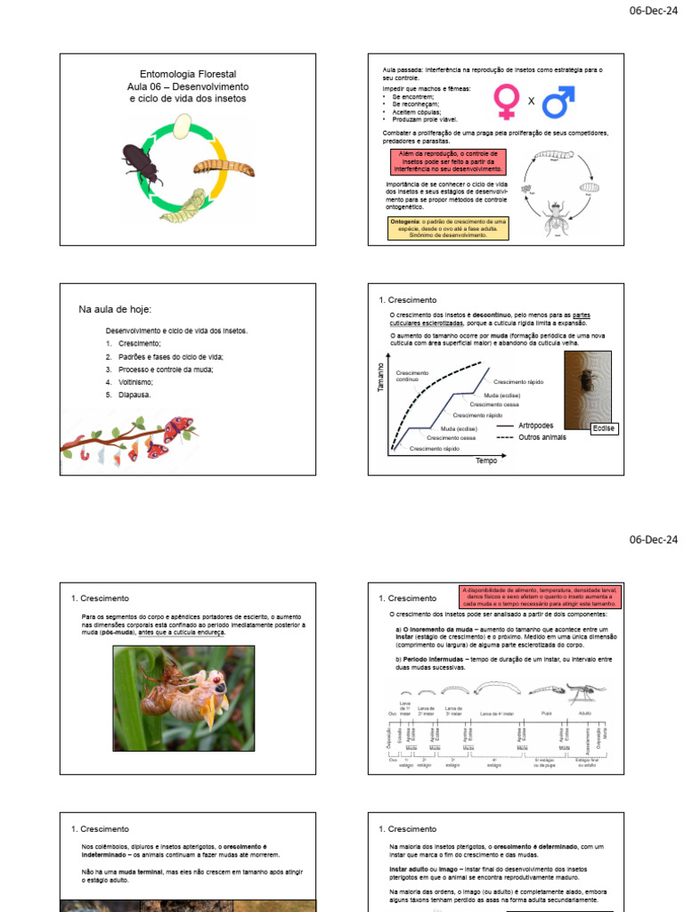Aula 06 - Desenvolvimento e Ciclo de Vida Dos Insetos | PDF | Insetos ...