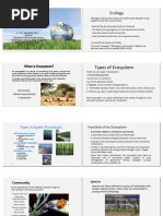 Science Form 2 Notes | PDF | Digestion | Water