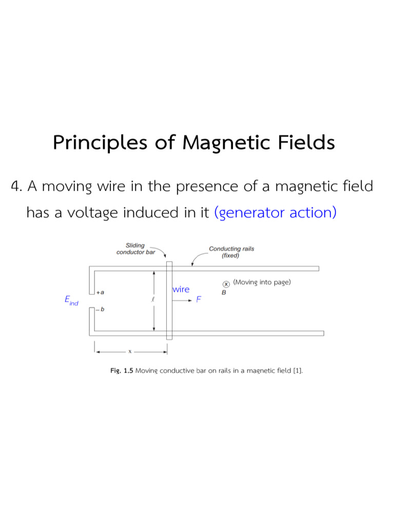 Principle of Magnatic field(3) | PDF