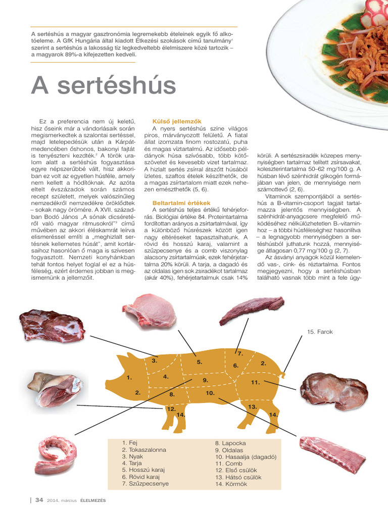 Disznó Alapjai | PDF