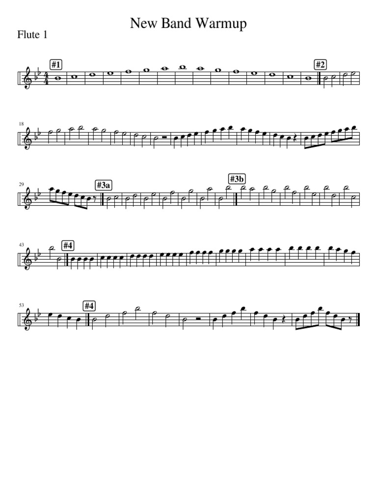 Flute Band Warmup Exercises Guide | PDF