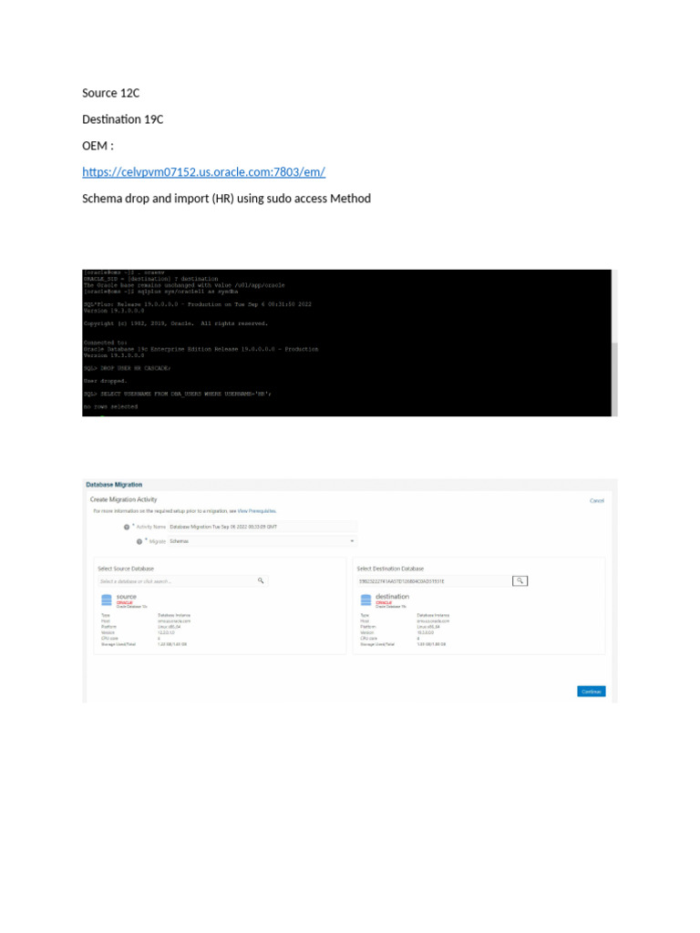 Sudo Schema Drop 12c 19c | PDF