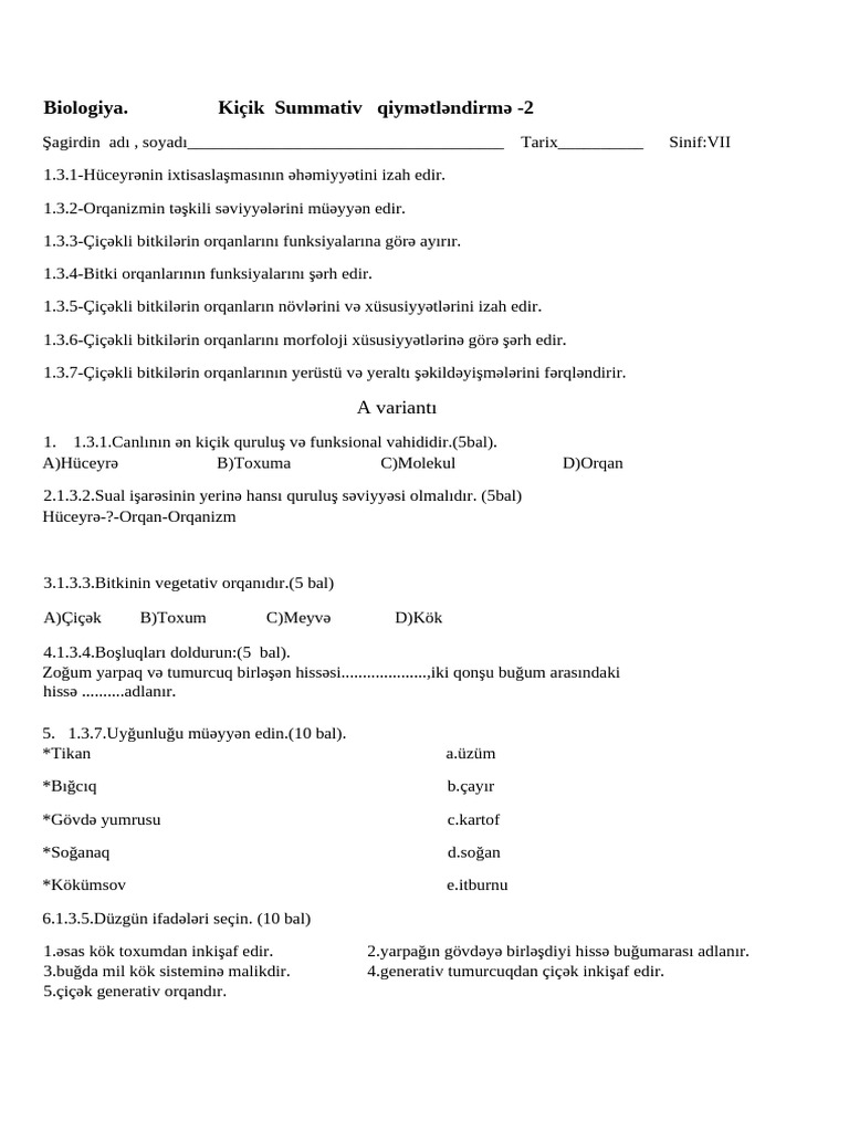 7-ci Sinif KSQ A variantı | PDF