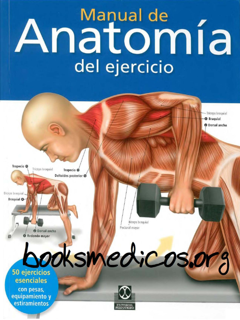 Manual de Anatomia Del Ejercicio | PDF