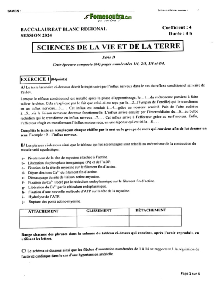 Bac Blanc Régional 2024 SVT Serie D Sujet+Barème | PDF