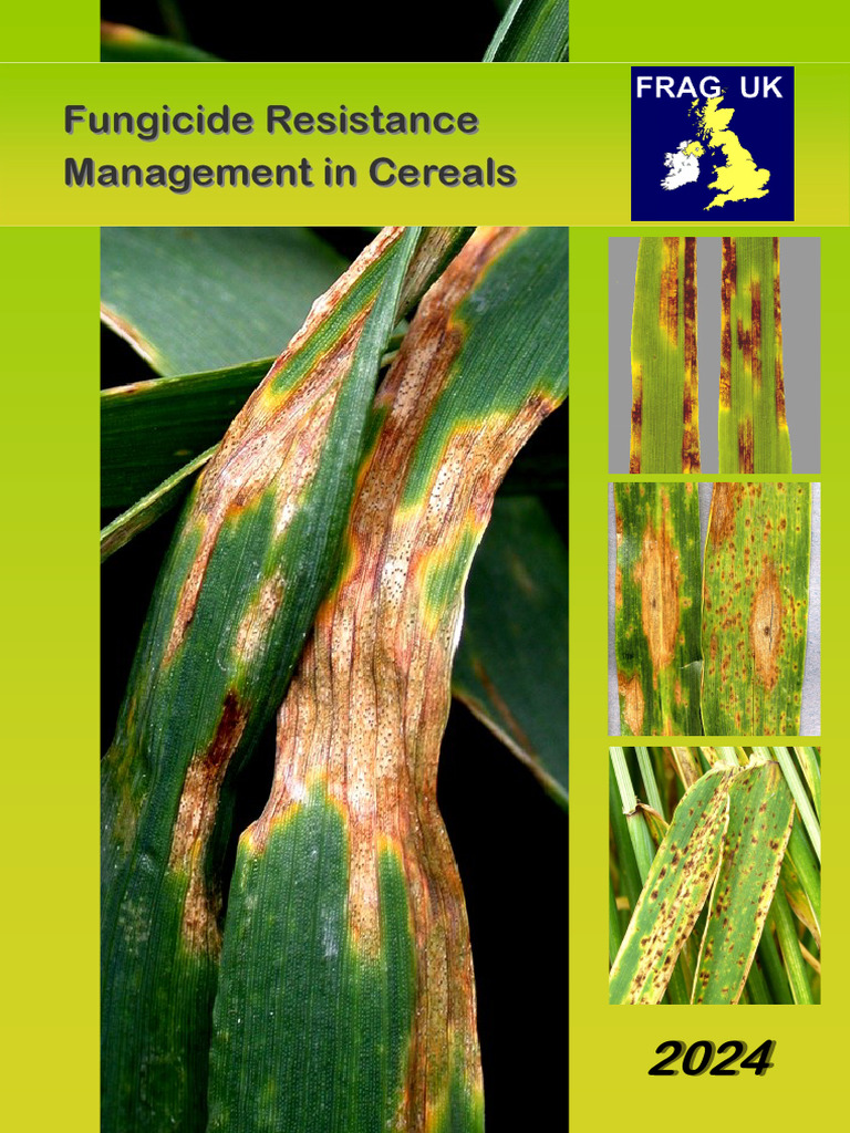 FRAG Fungicide Resistance Management in Cereals Guidelines 2024 | PDF ...