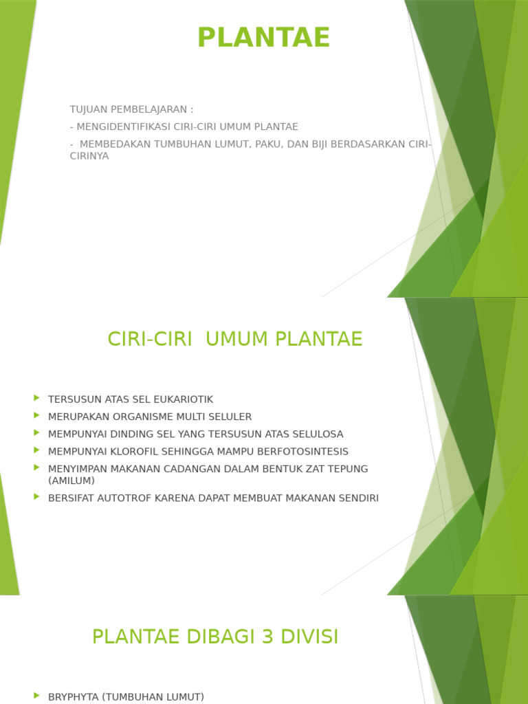 Ciri dan Divisi Kingdom Plantae | PDF