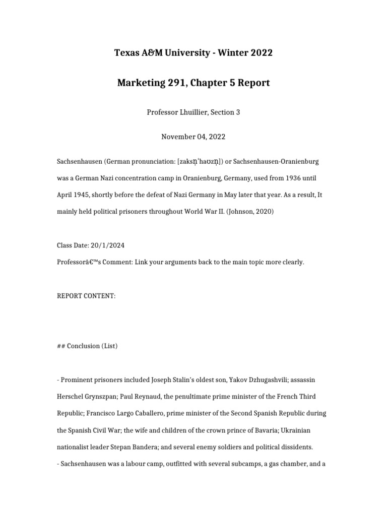 Marketing 291 Chapter 5 Report | PDF | World War II | German War Crimes