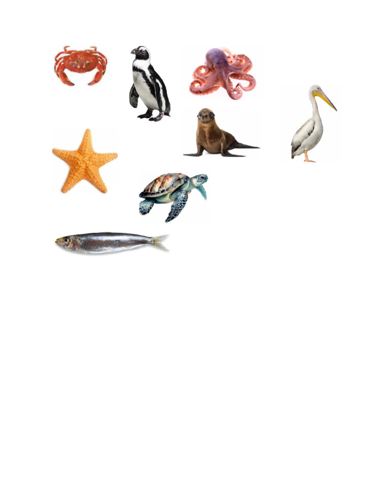 Animales de Mar | PDF