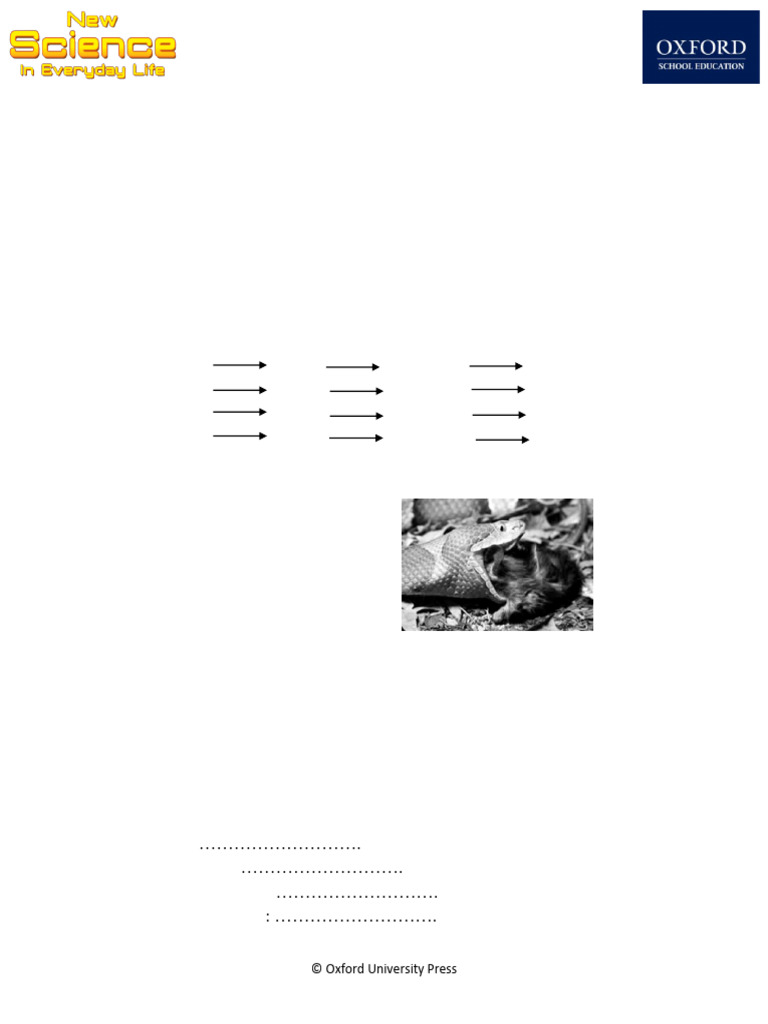 New Science in Everyday Life Class 6 Chapter 1 IBT | PDF | Foods