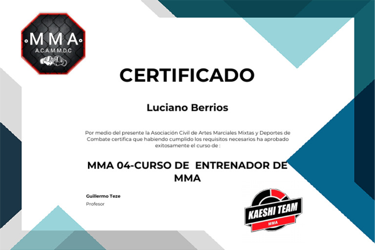 MMA2.0 | PDF