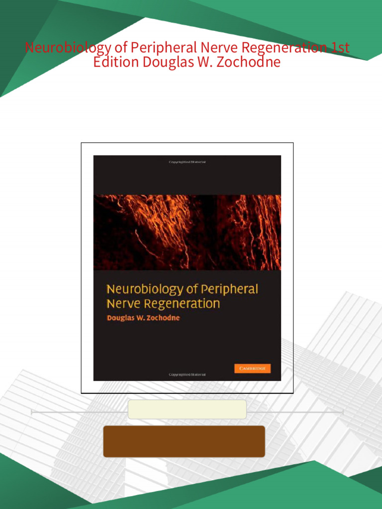Neurobiology of Peripheral Nerve Regeneration 1st Edition Douglas W. Zochodne - Quickly Access ...