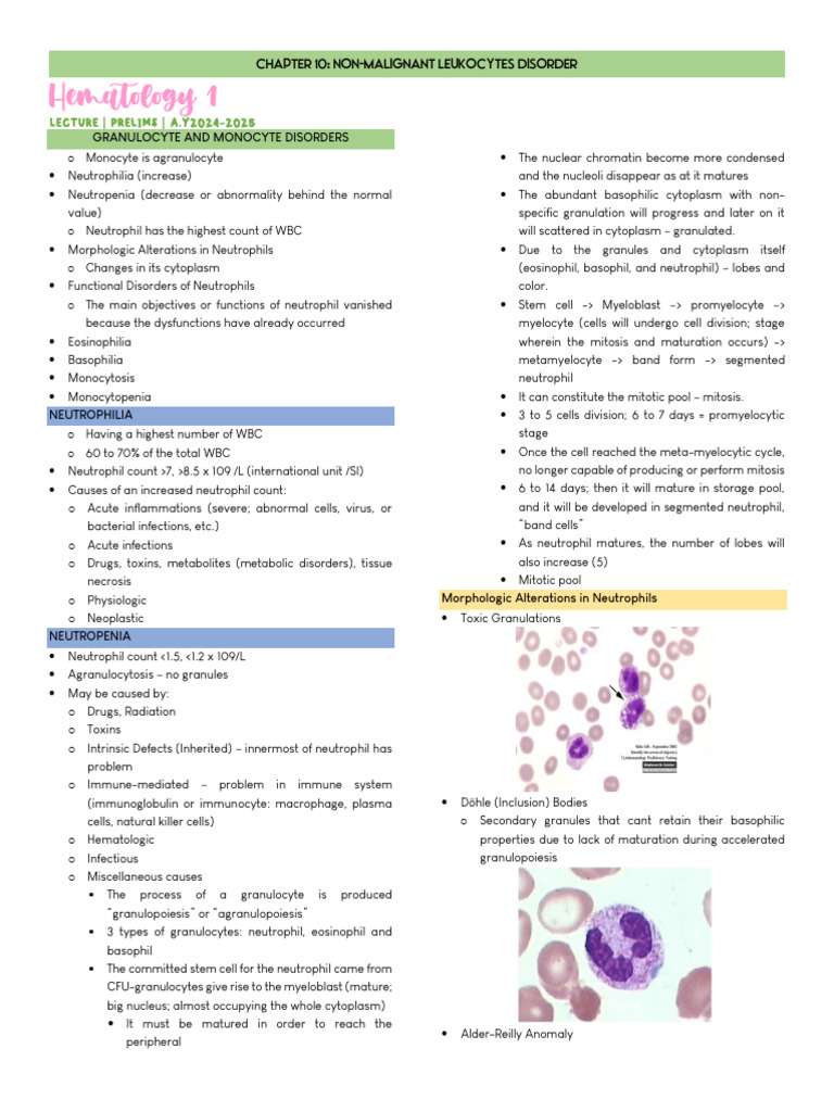 Chapter 10 _ HEMA 1 | PDF | White Blood Cell | Hematology