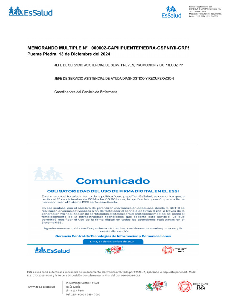 MEMORANDO MULTIPLE-000002-2024-CAPIIIPUENTEPIEDRA-GSPNIYII-GRPS | PDF | Informática