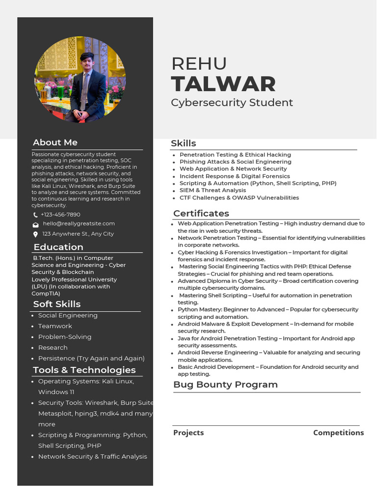 Professional CV Resume | PDF | Security | Computer Security