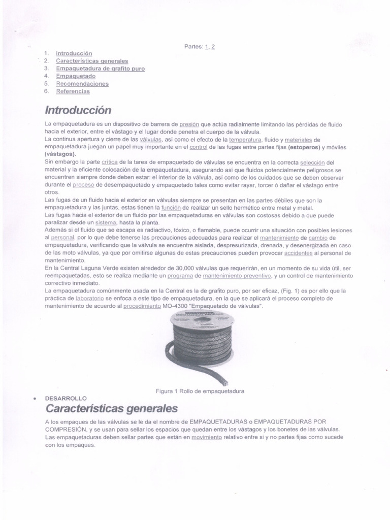 Metodo De Empaquetado Pdf