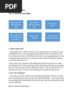 NHÓM 10 - QTXNK - ỐNG HÚT RAU CỦ ECOS | PDF