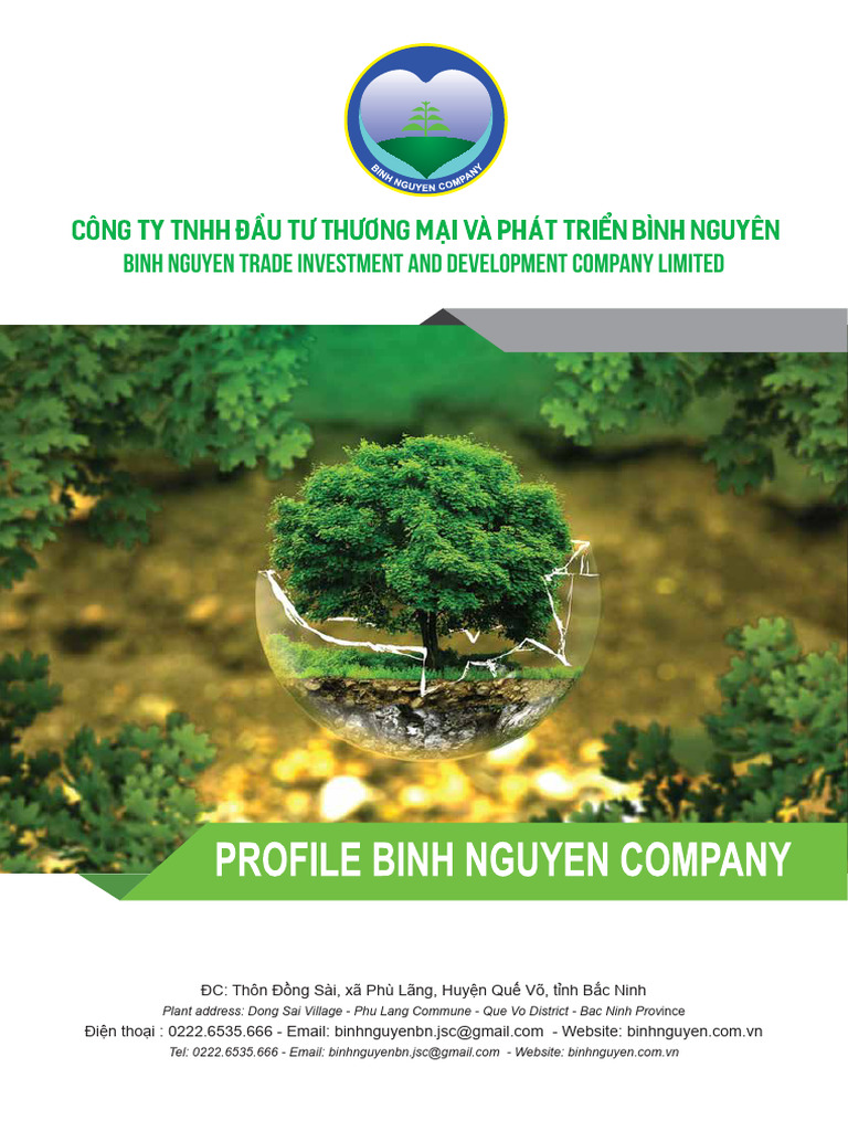 Binh Nguyen Environmental Solutions Company | PDF | Waste | Incineration