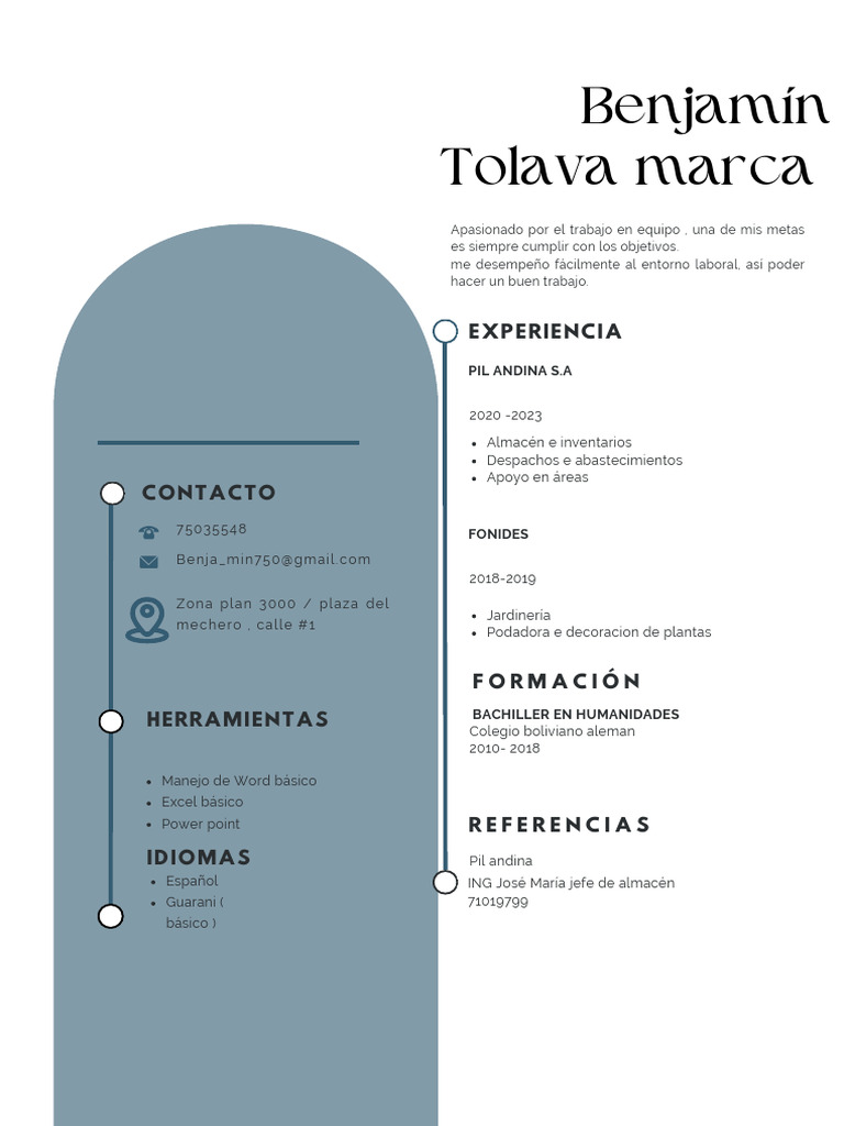 CV de Benjamín Tolava | PDF