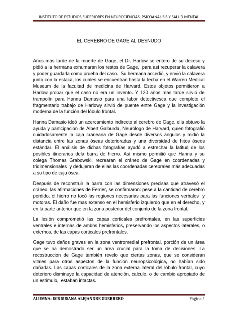 El Cerebro de Gage: Análisis Neurológico | PDF | Lóbulo frontal | Cerebro