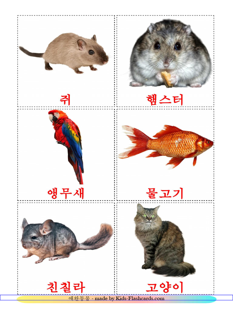 애완동물-6-a4 | PDF