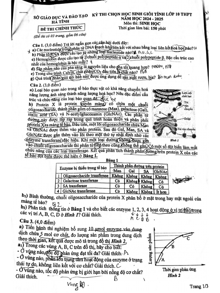 Hà Tĩnh 24-25_Sinh10 | PDF