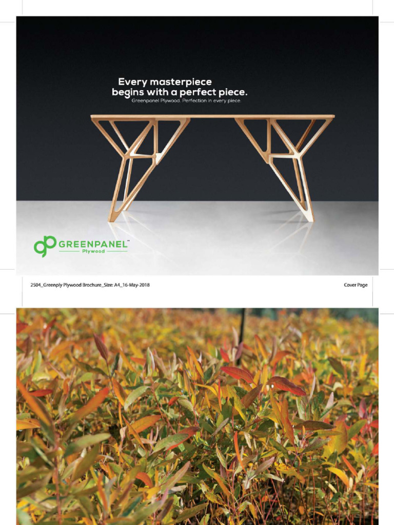 GP Plywood Brochure | PDF