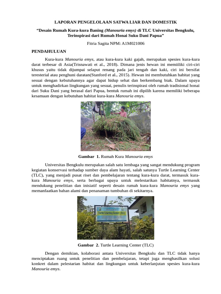 LAPORAN DESAIN RUMAH Manouria Emys | PDF