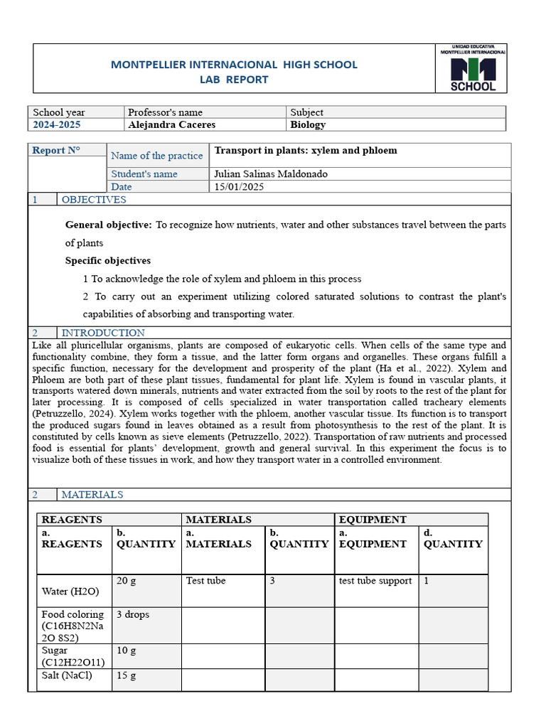 Xylem and Phloem Transport Experiment | PDF | Plants | Tissue (Biology)