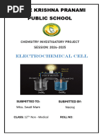 Chemistry Project On Electrochemical Cell | PDF | Redox | Electrochemistry