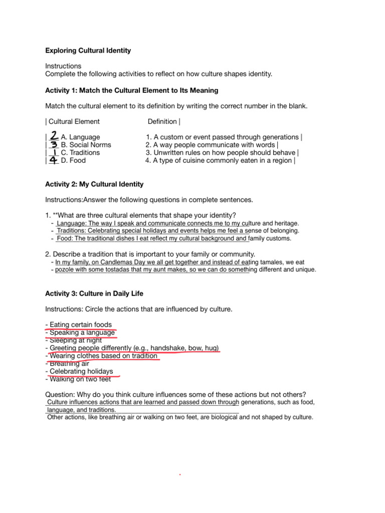 Exploring Cultural Identity | PDF