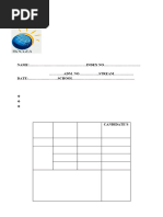 A Sample Record of Work Format | PDF