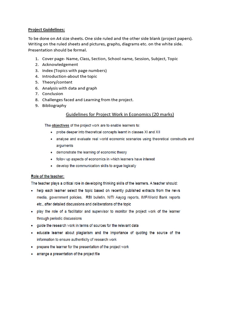 Project+Guidelines | PDF