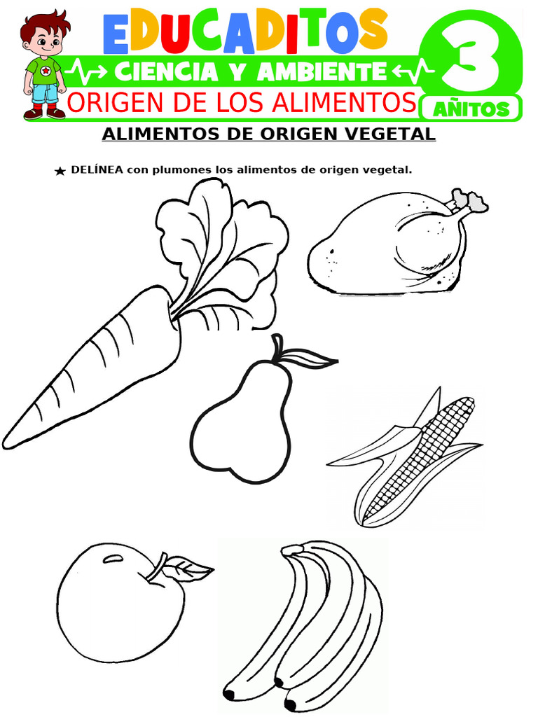 Origen de Los Animales Para Ninos de 3 Anos(1) | PDF