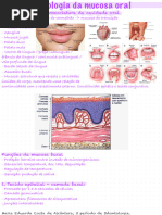 Tipos e Estruturas da Mucosa Oral | PDF | Boca | Língua