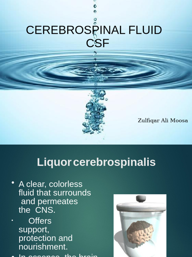 Cerebrospinalfluid-Lumbar Puncture Final | PDF | Cerebrospinal Fluid | Meningitis