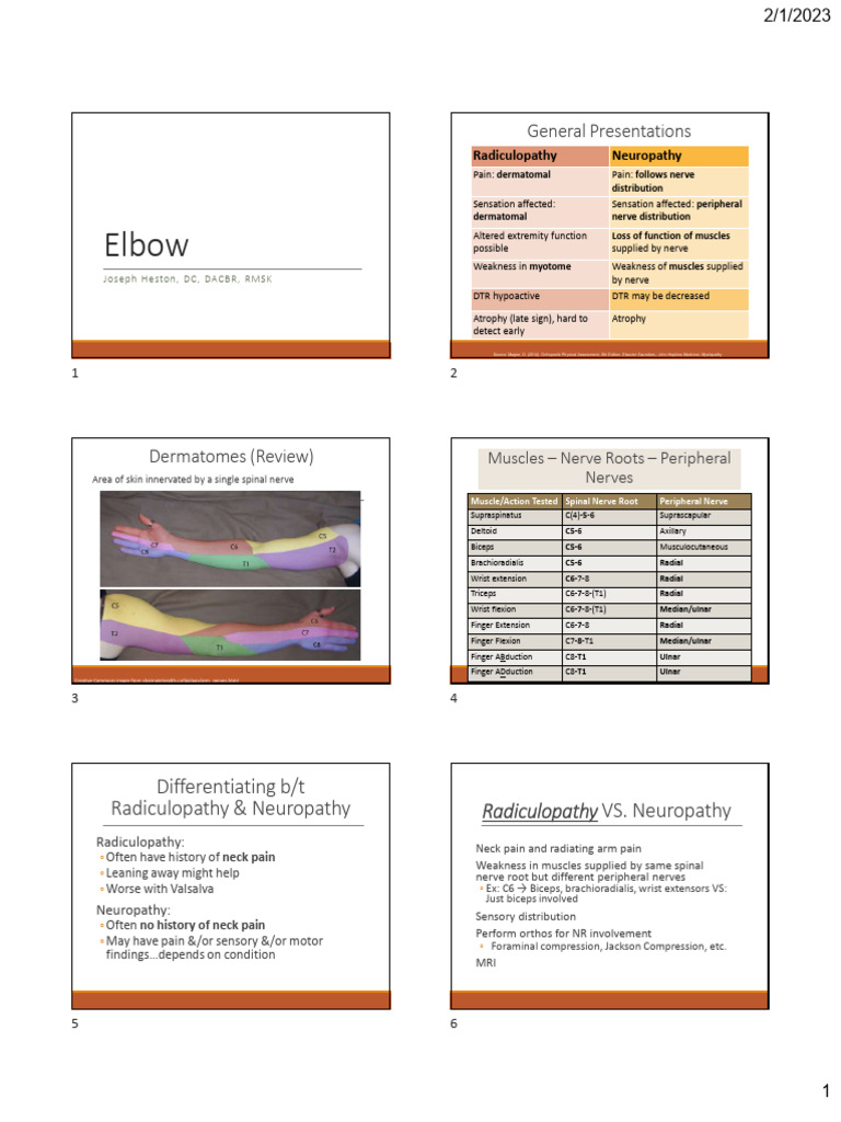 Elbow Lecture NMS 1 2023 JRH - 6 Slides Per Page | PDF | Elbow | Thumb