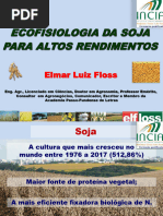 Folder Brasmax 2025 Sul | PDF | Plantas